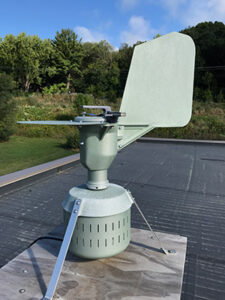 What Does The Pollen Count Tell Me?