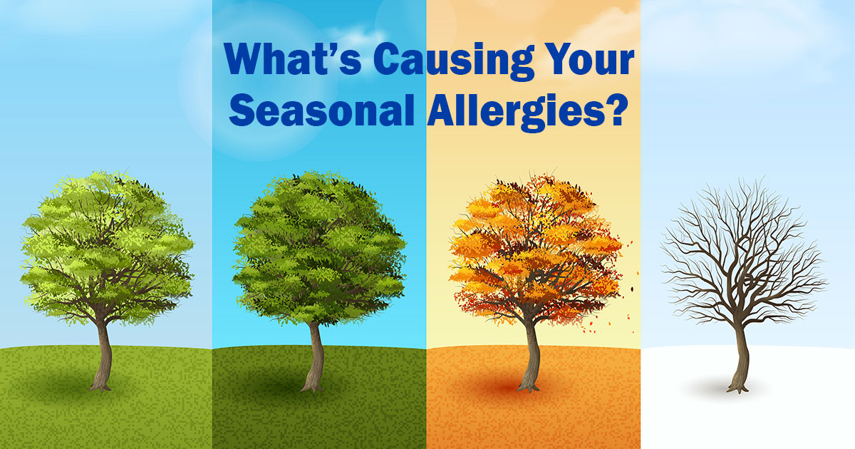 Seasonal or Environmental Allergies - Allergychoices