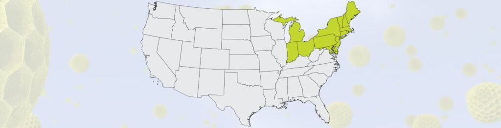 Pollen Allergy Seasons - Northeast United States