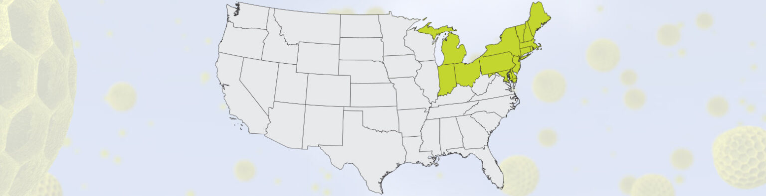 Pollen Allergy Seasons - Northeast United States