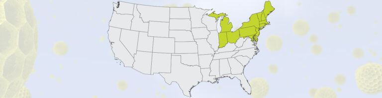 Pollen Allergy Seasons - Northeast United States