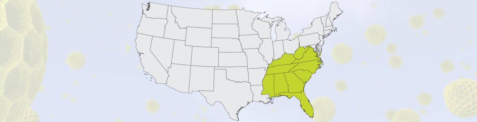 Pollen Allergy Seasons - Southeast United States