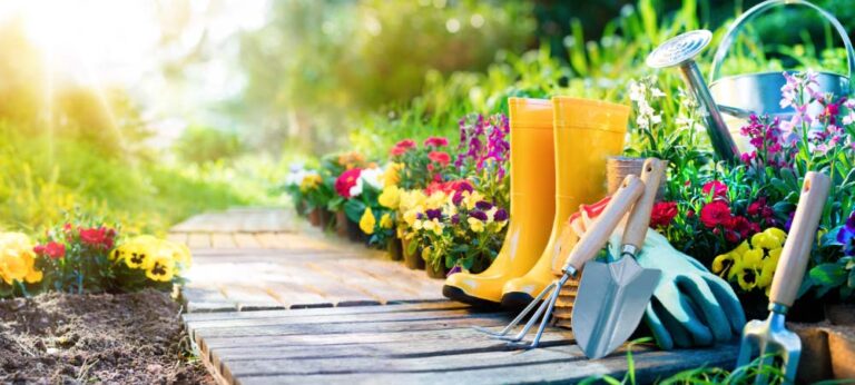 Why Gardening Makes You Sick